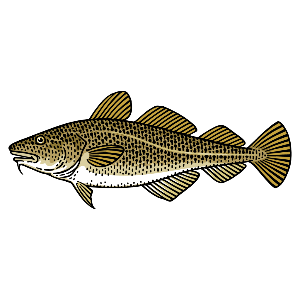 Learn About Cod (Recipes Included!) - LGCM